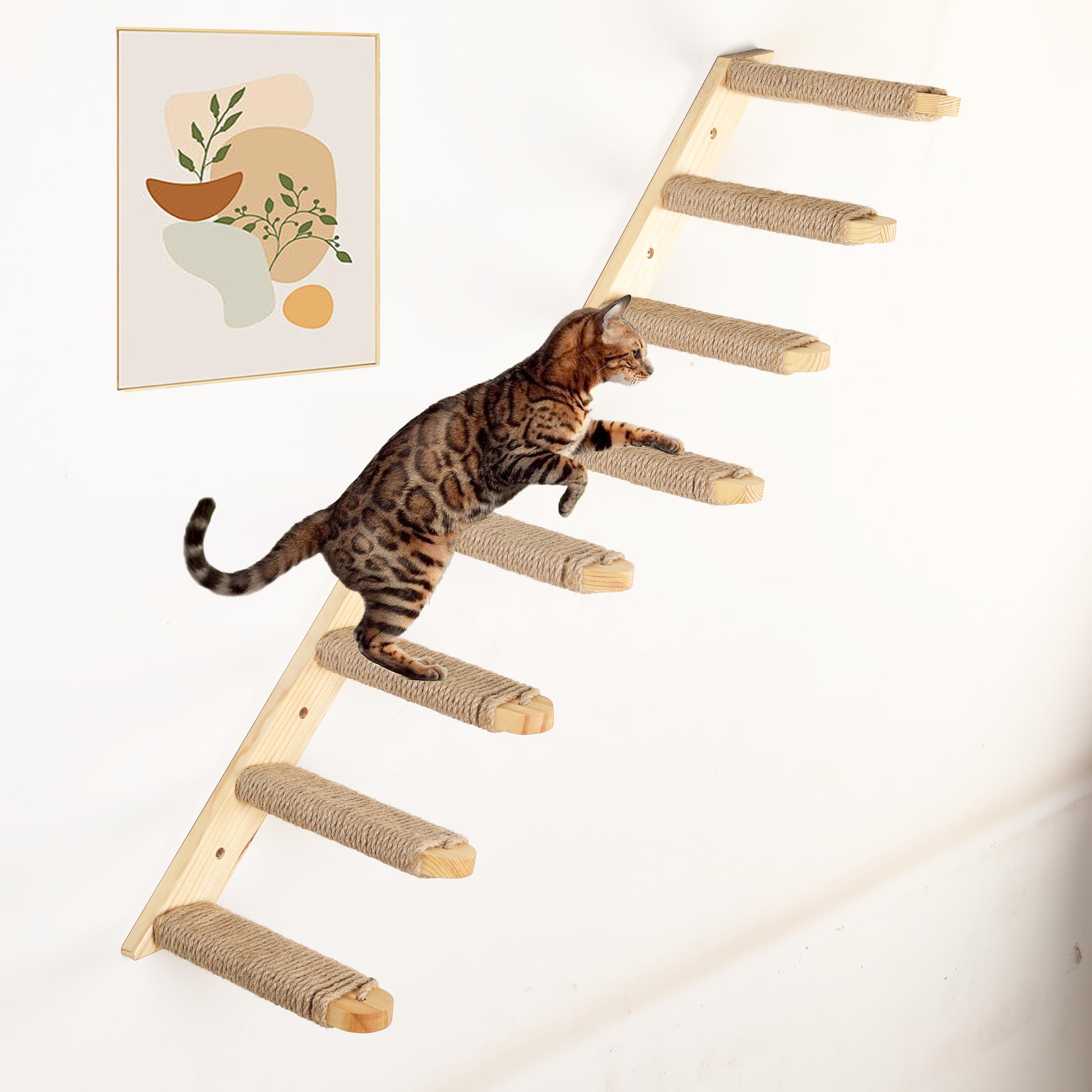 Amazon.com: Cat Wall Climbing Shelf, 2 pcs Cat Wall Climber, 4 Step ...