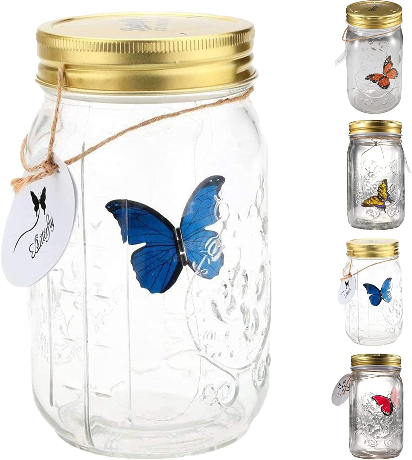 10 Best Butterfly Collection Jars for Displaying Your Beautiful Insects ...