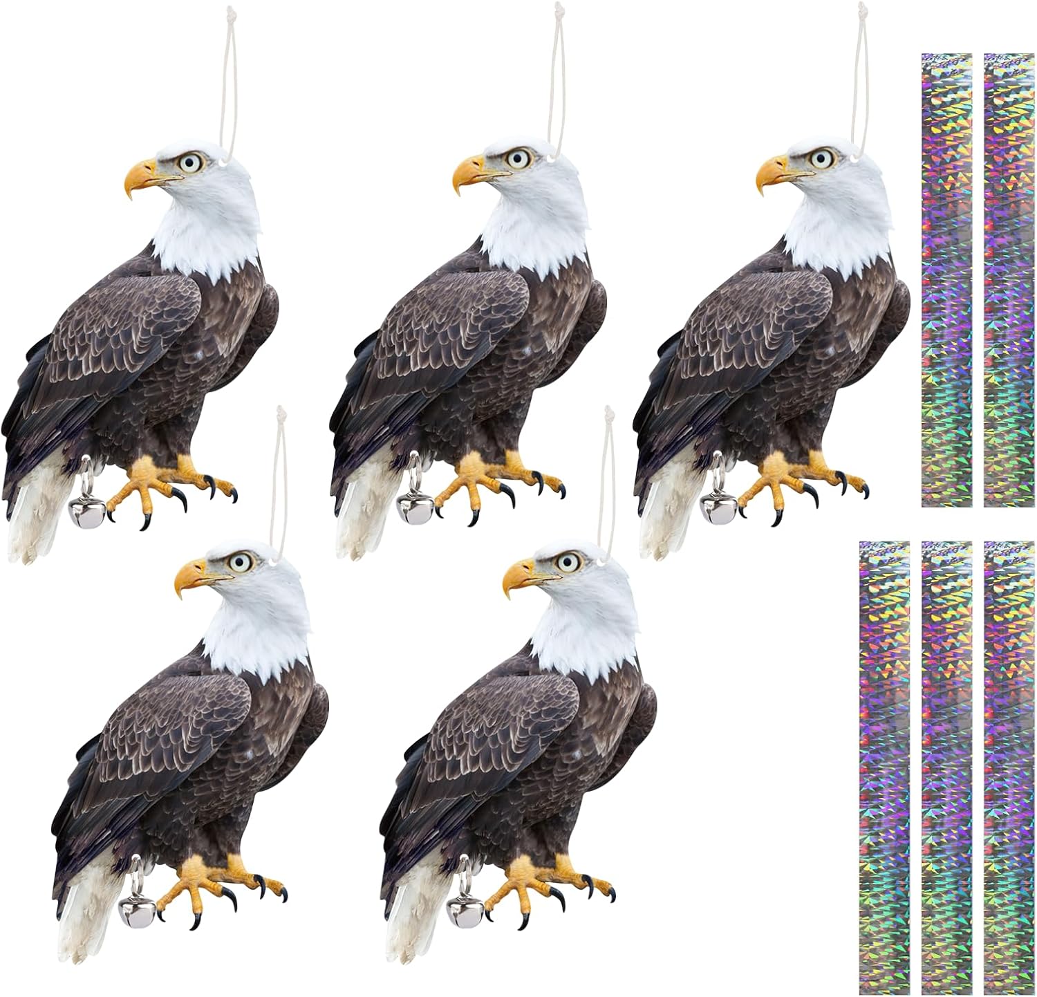 Amazon.com : Plastic Hawk to Scare Pigeon Away from Porch Patio Balcony ...