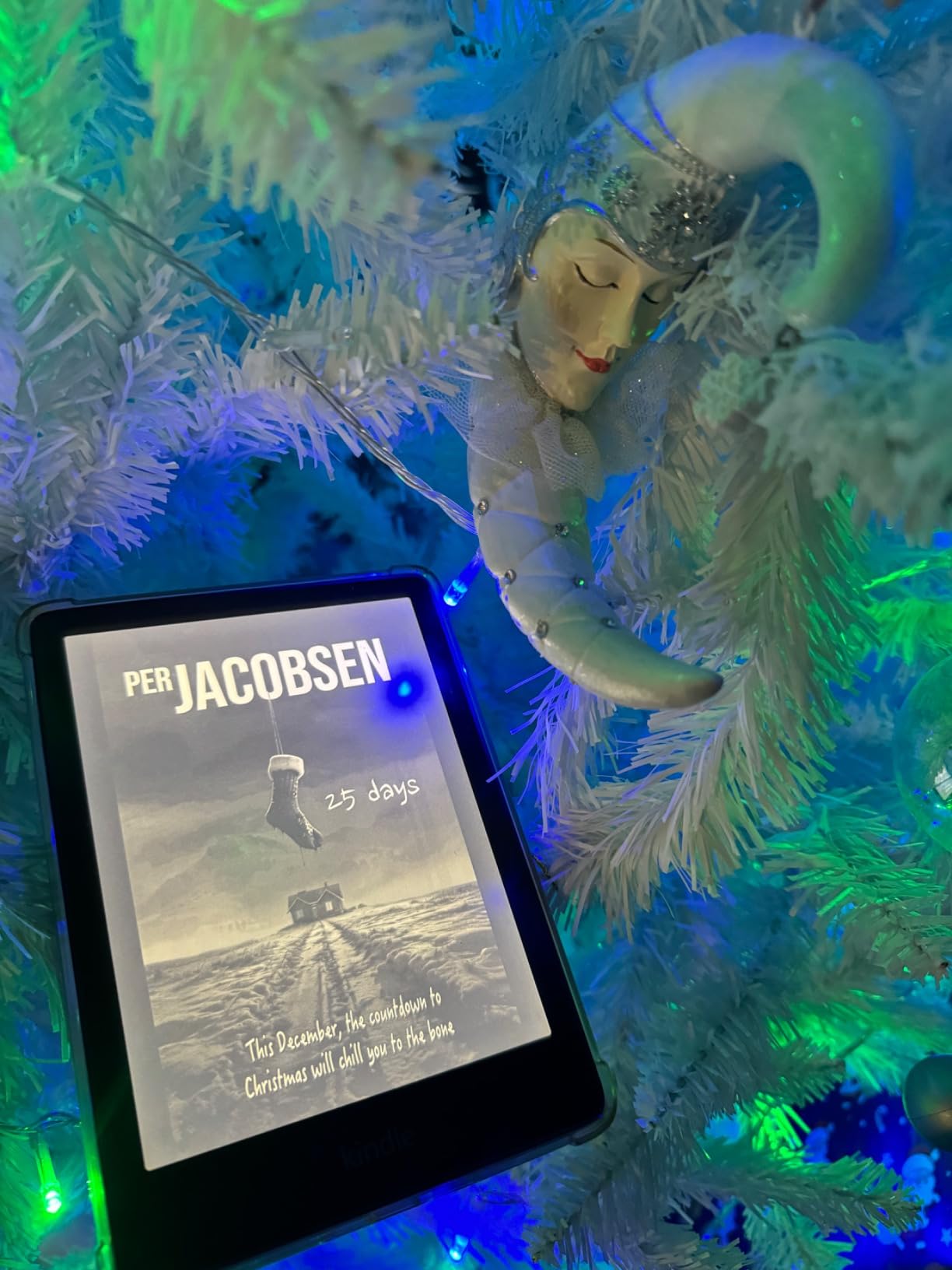 25 Days: The bestselling Christmas thriller that will chill your bones ...