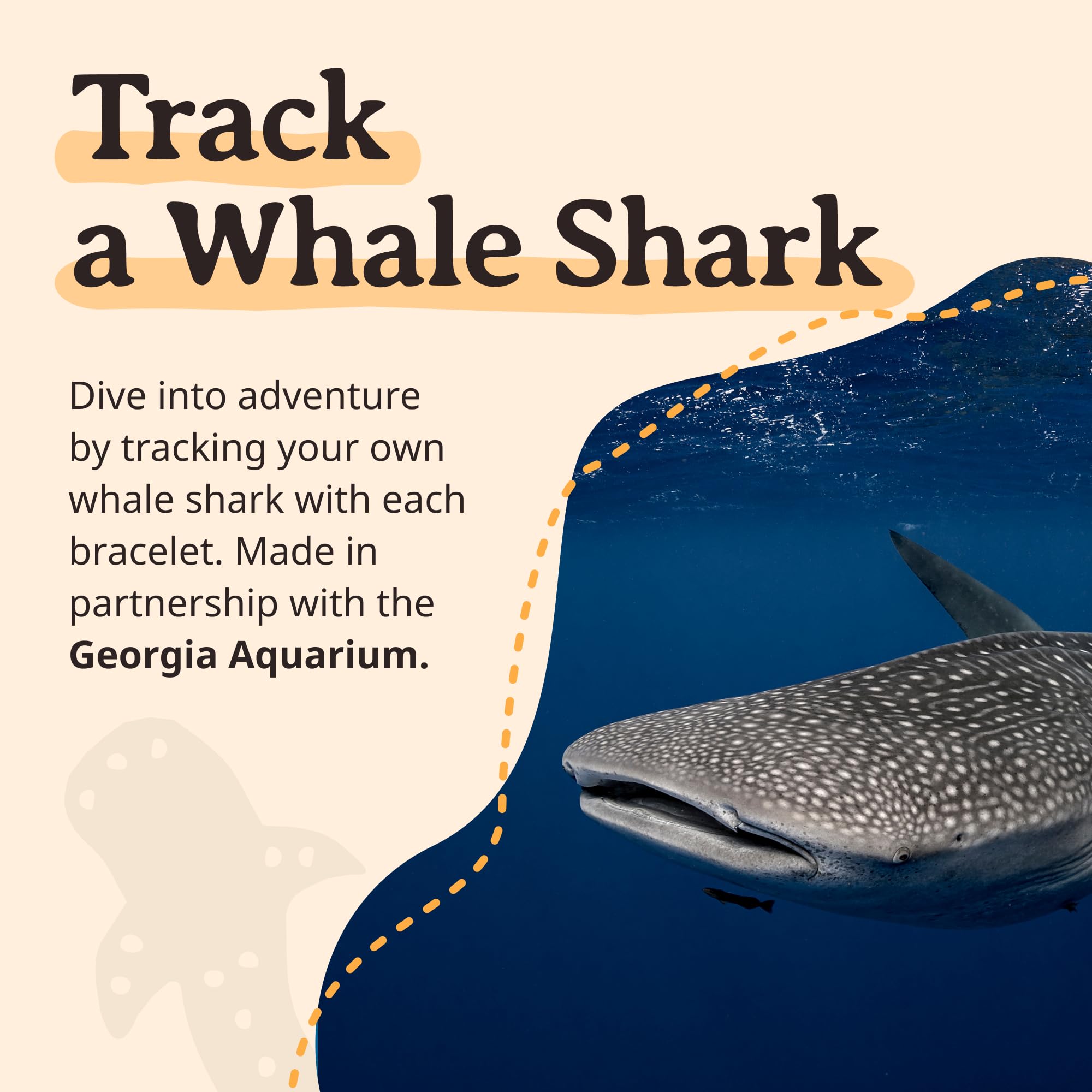 Snapklik.com : Fahlo Quest Bracelet Whale Shark Tracking Bracelet ...