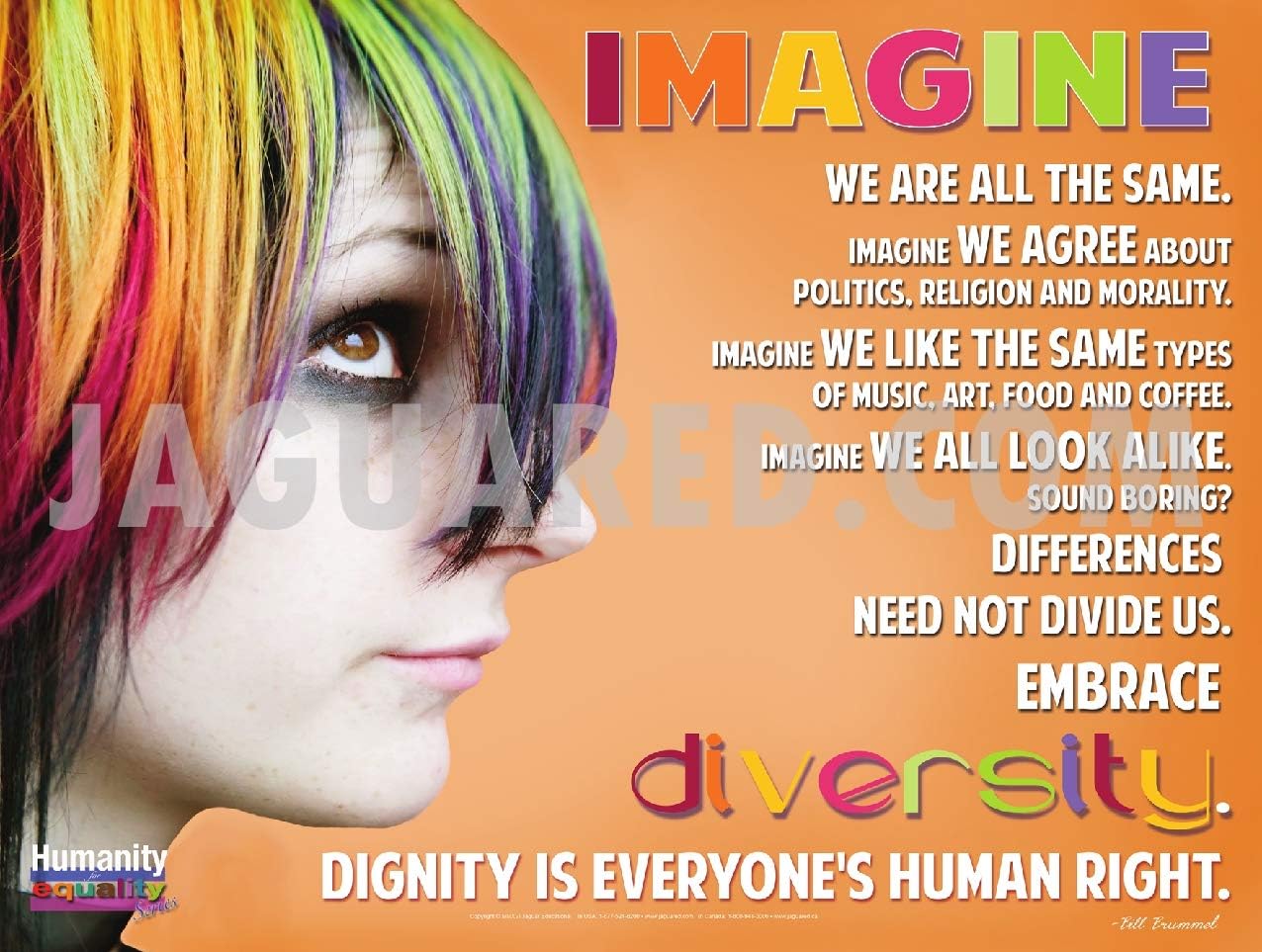 Imagine We are All The Same Humanity for Equality Poster Laminated ...