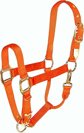 Amazon.com: Hamilton 1-Inch Nylon Halter with Adjustable Chin, Orange ...