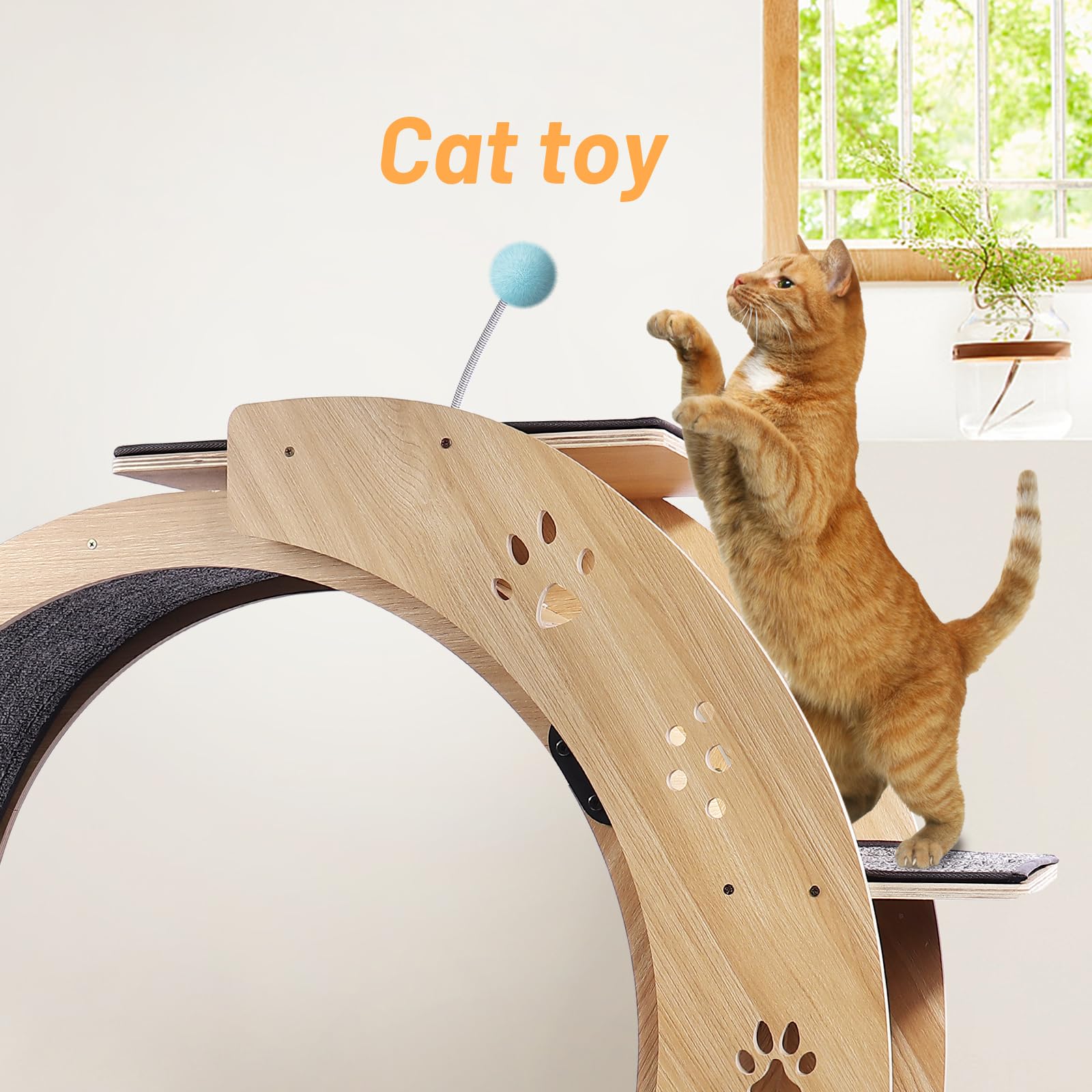 Cat Exercise Wheel Exerciser for Indoor Cats [4 in 1 Ultra Quiet ...