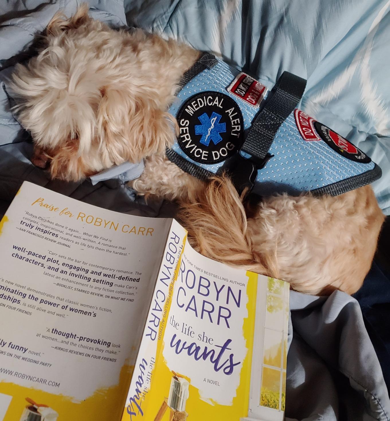 Amazon.com: The Life She Wants eBook : Carr, Robyn: Kindle Store