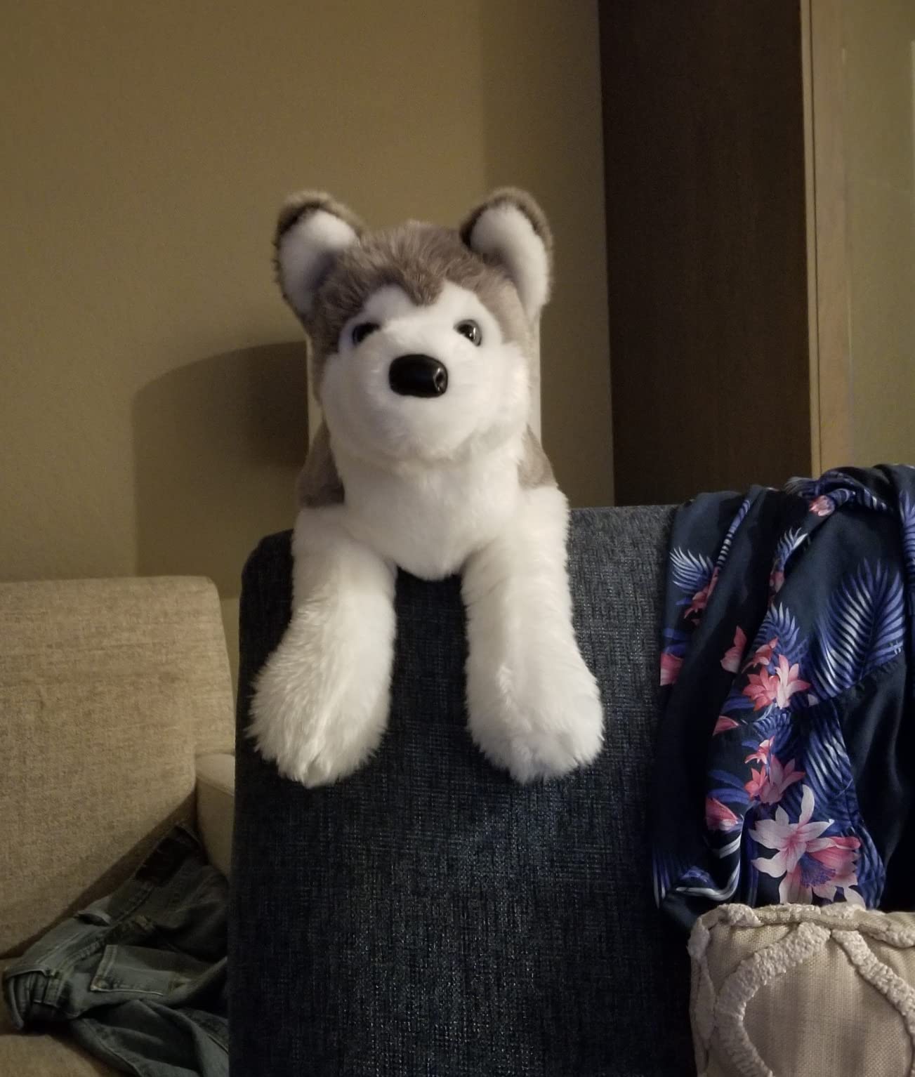 Amazon.com: Douglas Geno Husky Dog Plush Stuffed Animal : Toys & Games