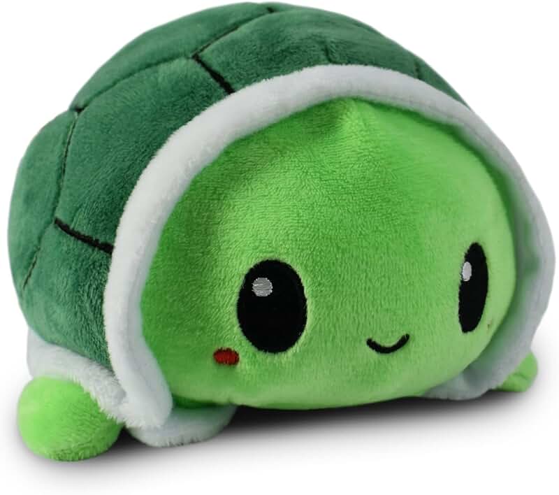 Amazon.com: TeeTurtle
