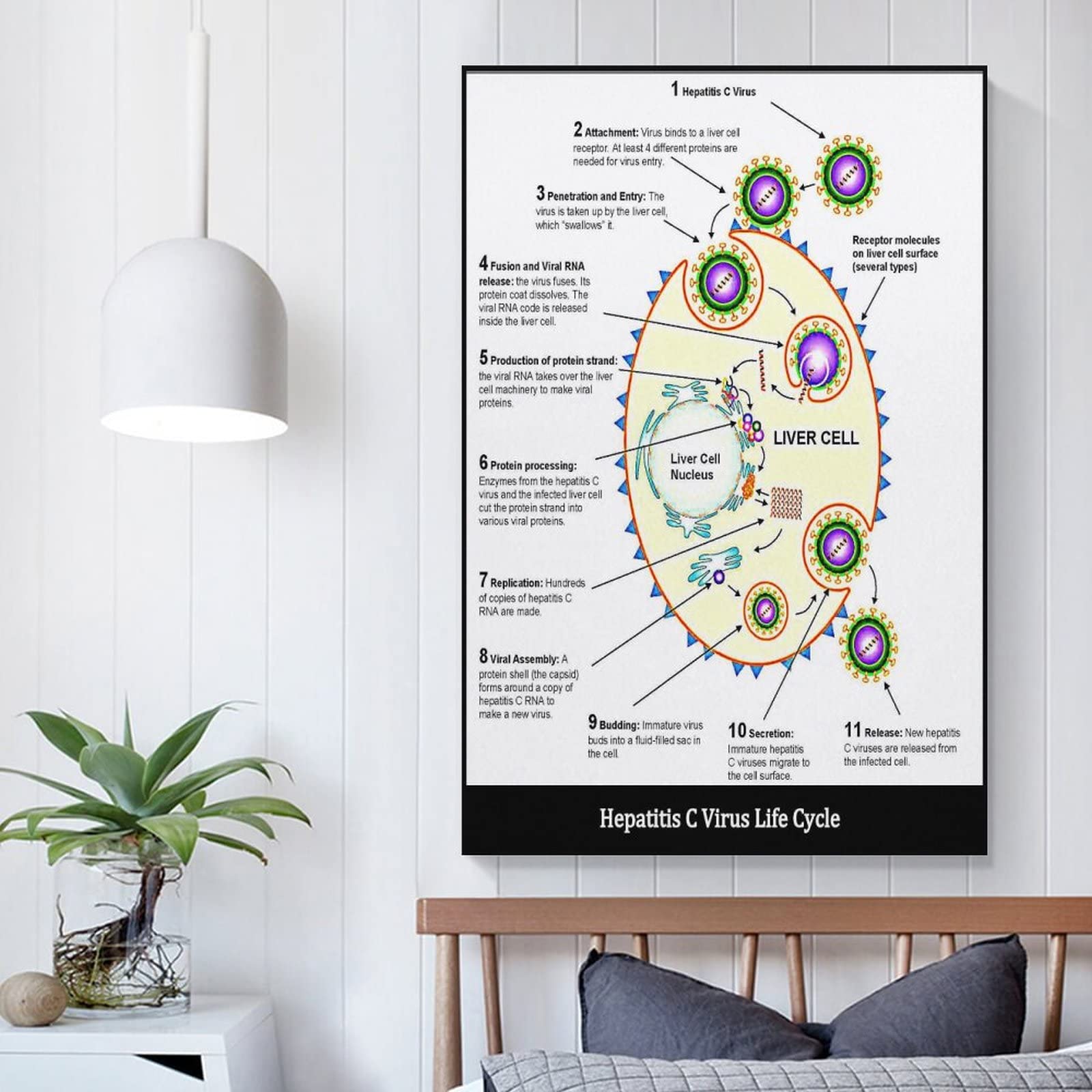 Hepatitis Posters Worldhepatitisday #hepatitisday #hepatitisday2024