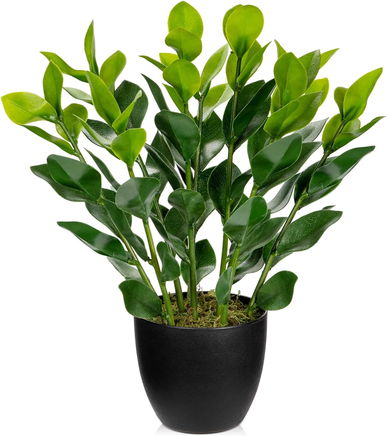Amazon.com: Hollyone Artificial ZZ Plants 18'' Real Touch Faux Plants ...