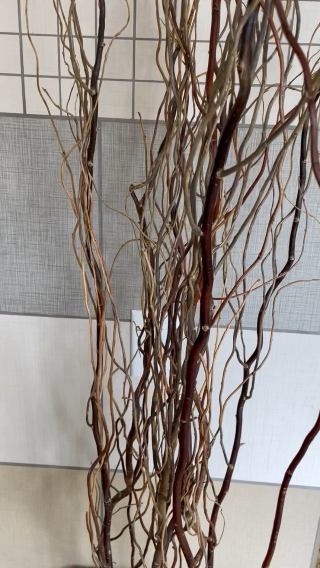 Watch Honest Review Lifelike Curly Willow Branches Decorative Dried on ...
