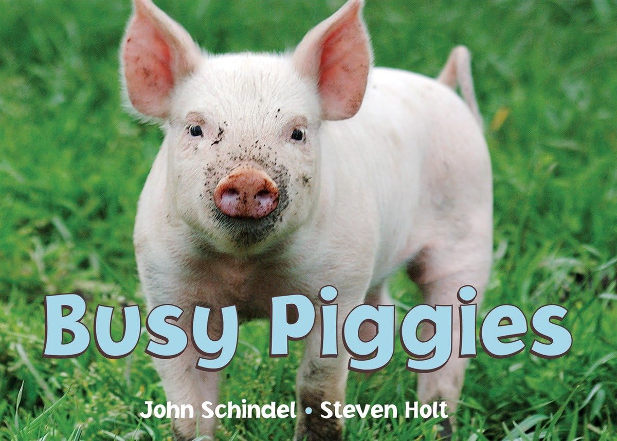 Busy Piggies (A Busy Book): Schindel, John, Holt, Steven: 9781582461694 ...