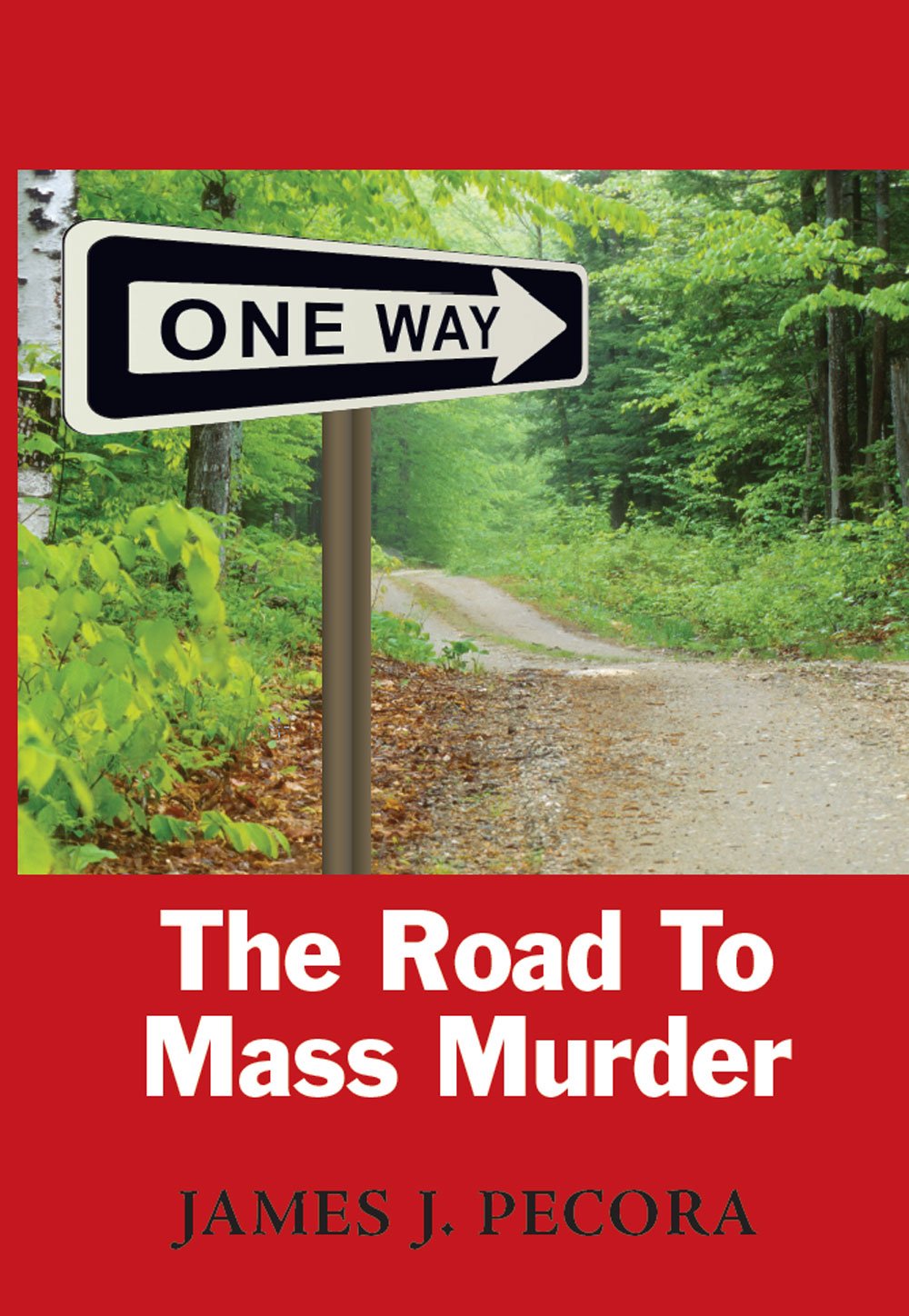 Amazon.com: One Way: The Road To Mass Murder eBook : Pecora, James J ...