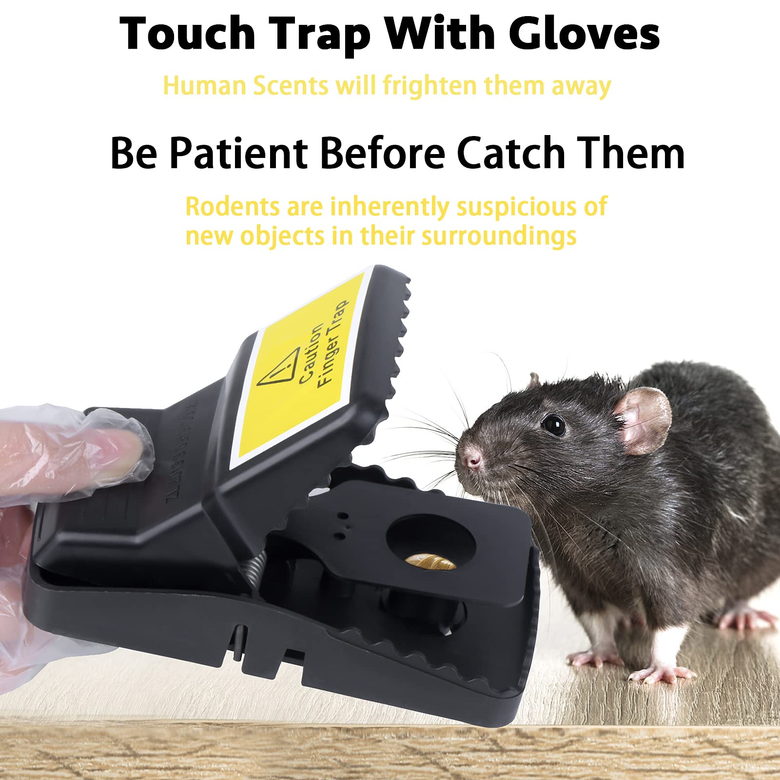 Buy Trisiki 6 Pack Professional Mouse Trap, Rat Trap for Various Sizes ...