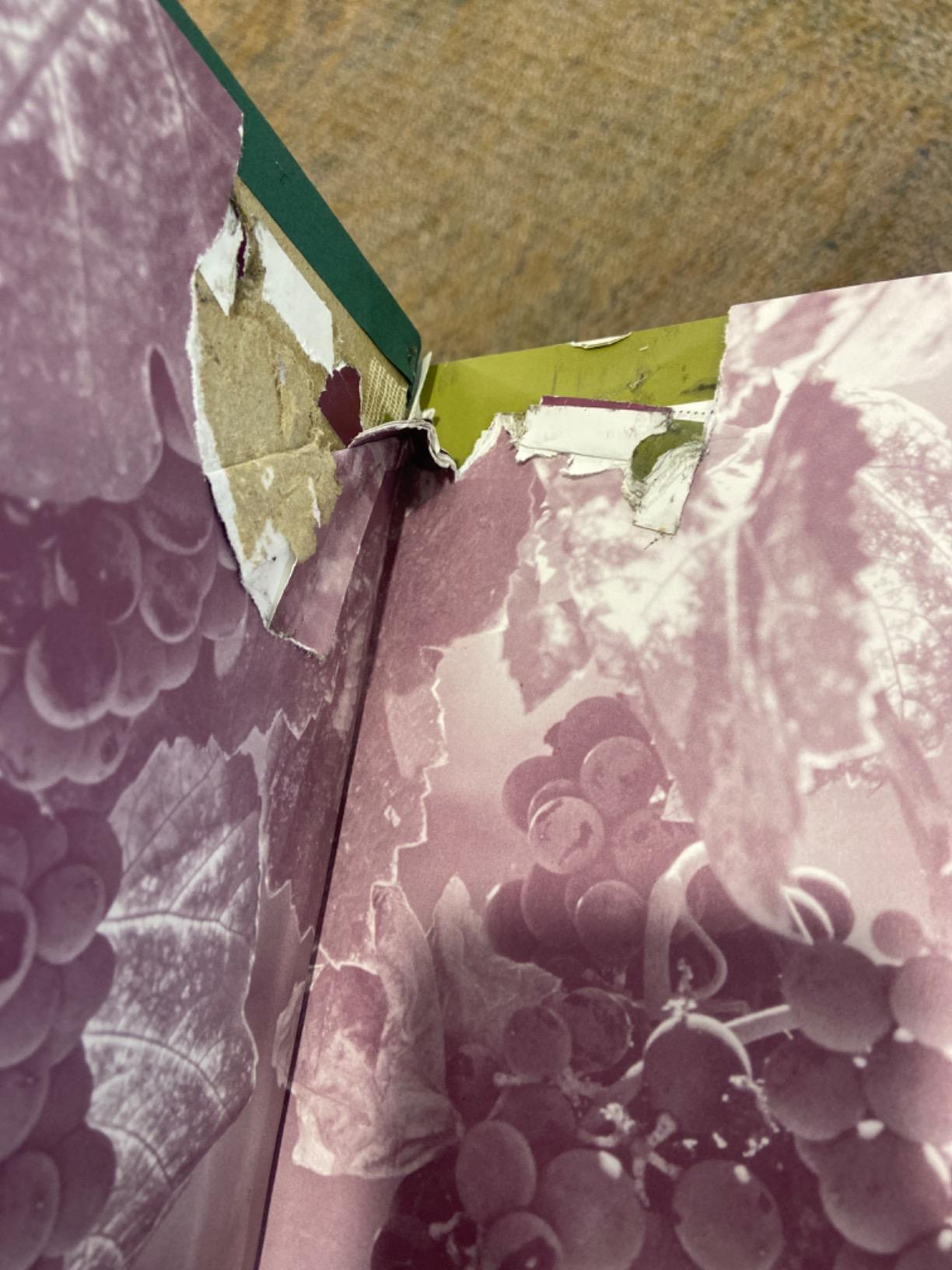 Exploring Wine: The Culinary Institute of America's Complete Guide to ...