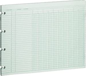 Wilson Jones Green Columnar Ruled Ledger Paper, 10 Columns and 30 Lines ...