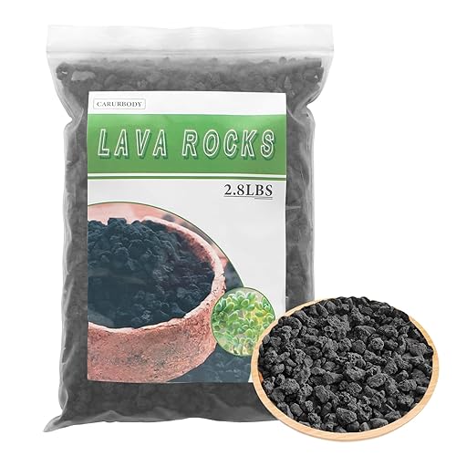 The Savvy Gardener's Guide to Rocks for Hydroponics Systems