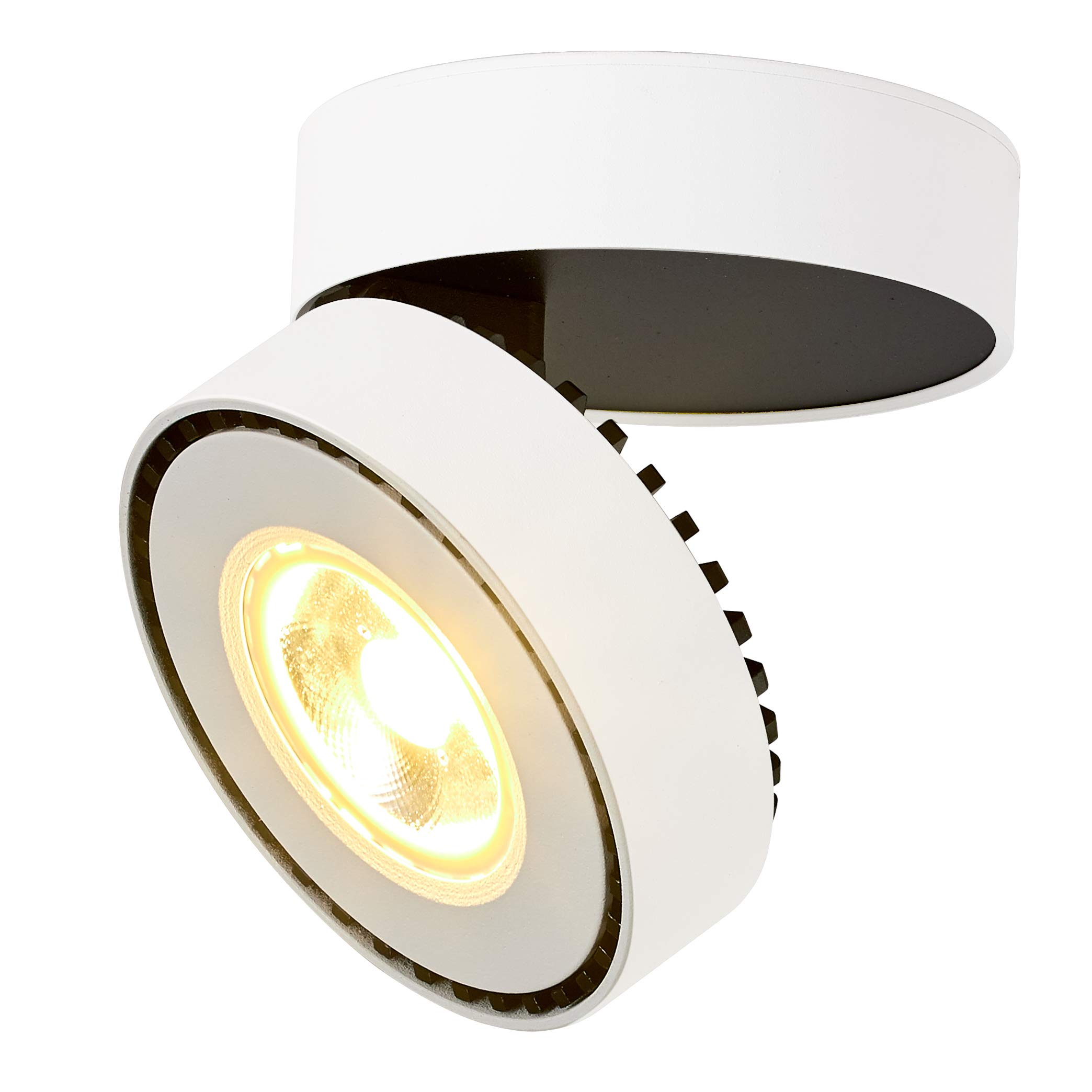 Dr lazy Indoor 12W LED Adjustable Ceiling Spots Ceiling Lamp Ceiling