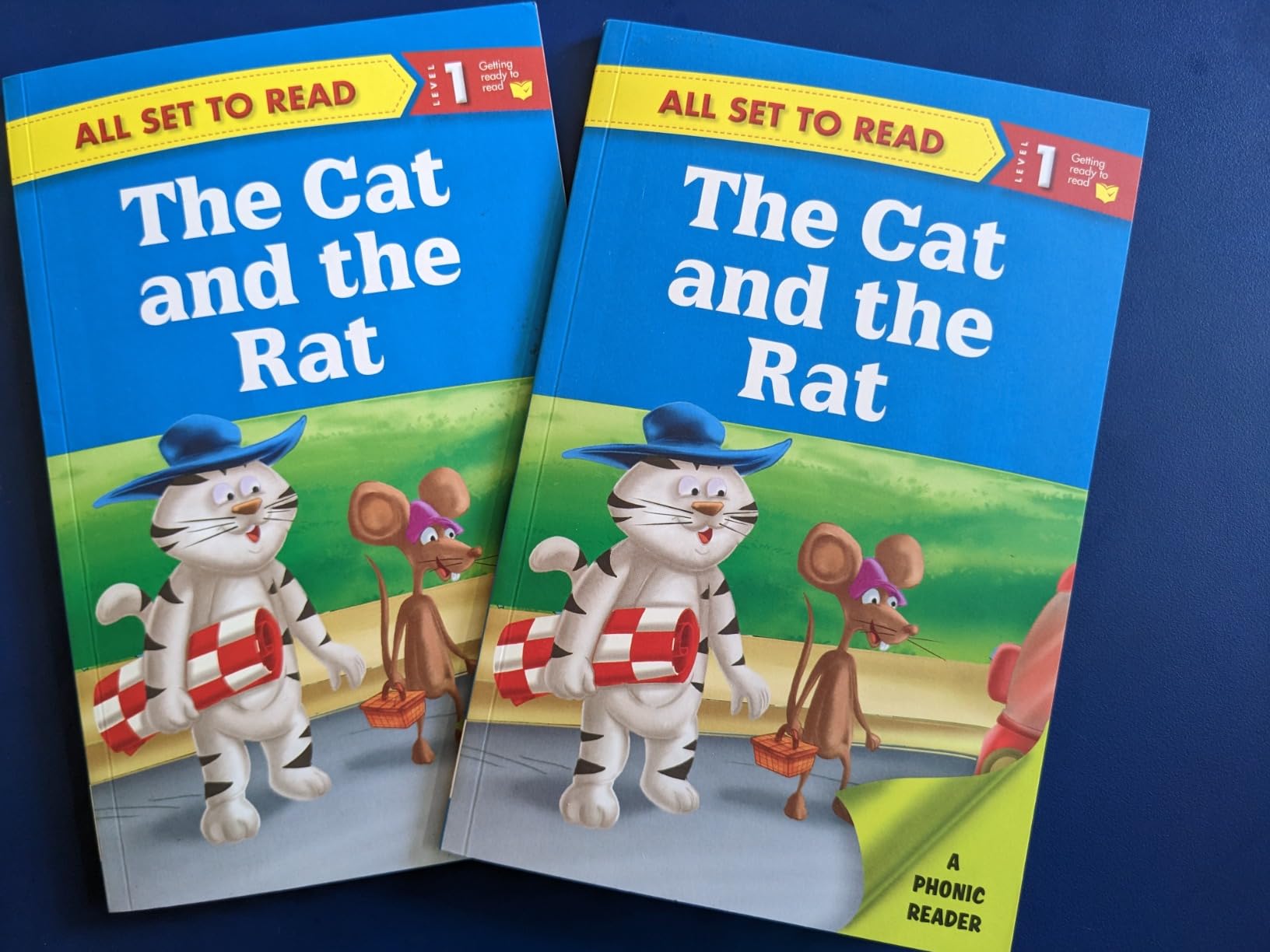 All set to Read- A Phonic Reader- The Cat and The Rat- Readers for kids ...