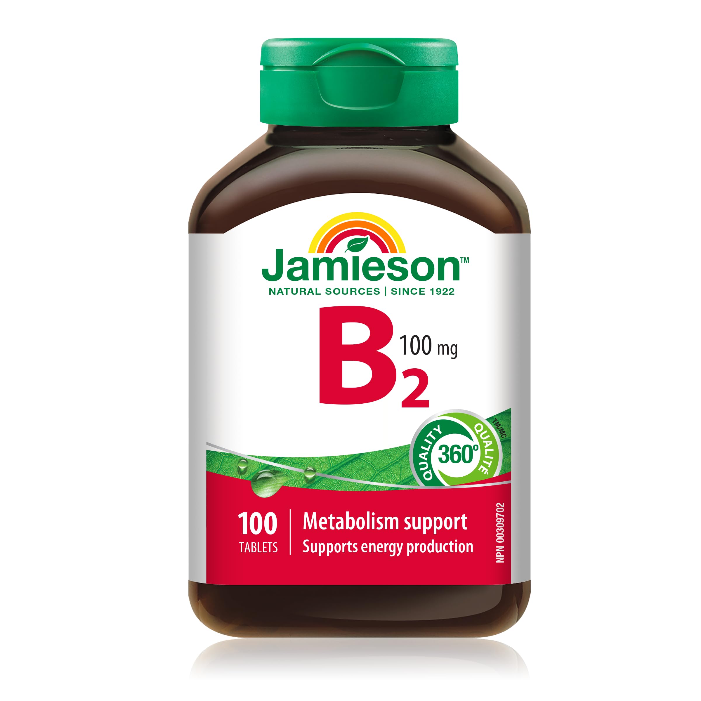 Vitamin B2 Riboflavin 100 mg : Amazon.ca: Health & Personal Care