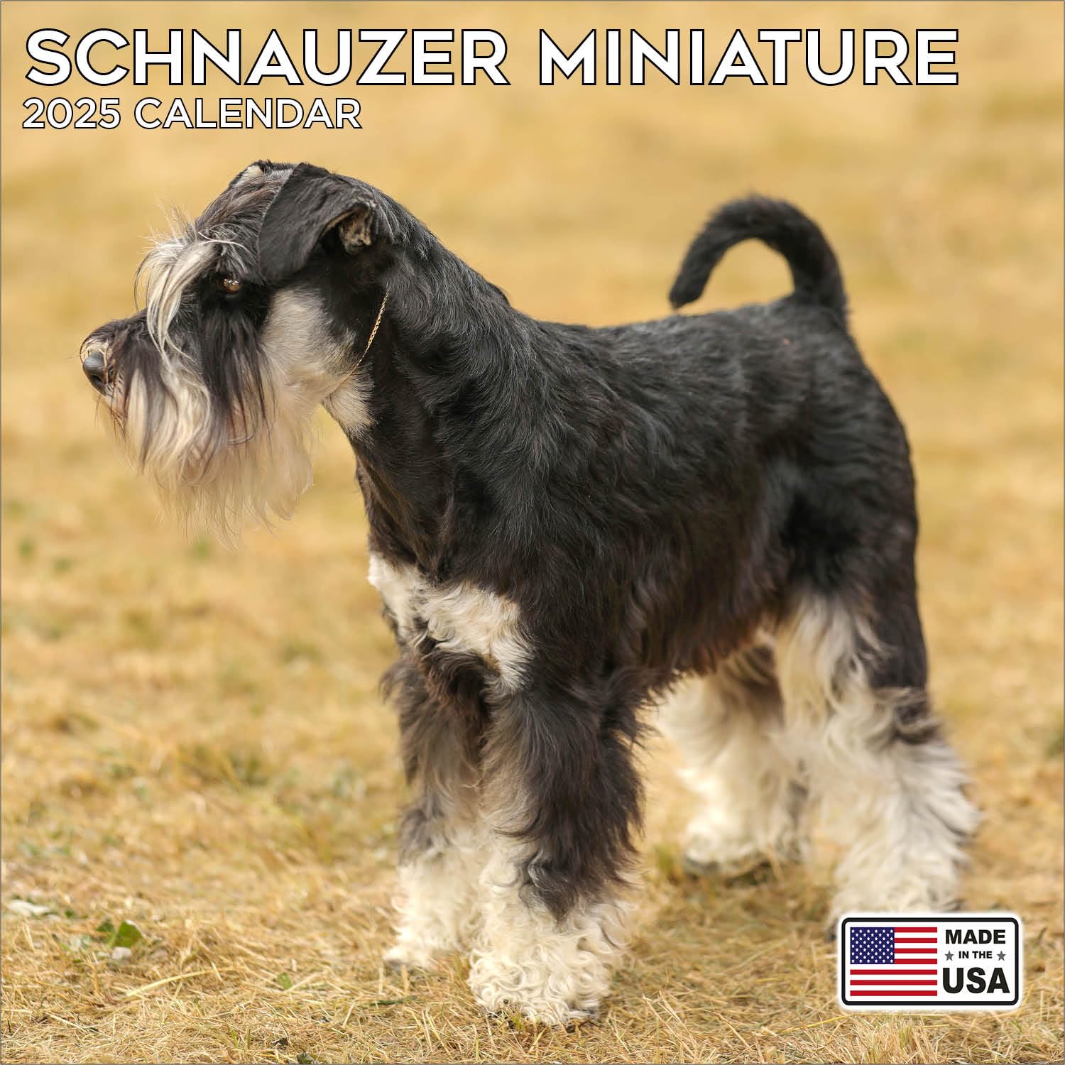 MegaCalendars - Schnauzer - Miniature 2025 - Dog Breed Calendar ...