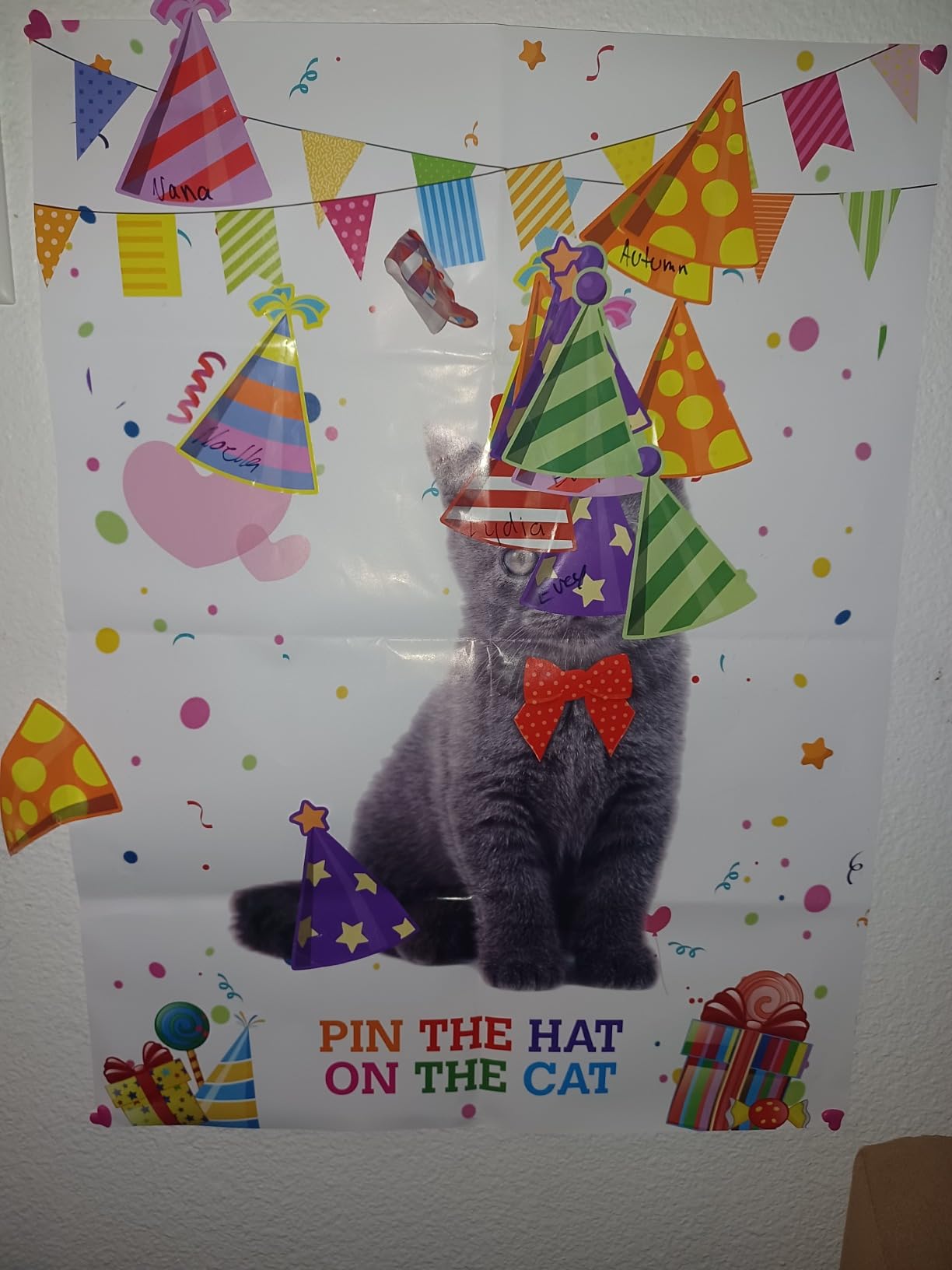 Amazon.com: 38 Pieces Pin The Hat on The Cat Party Games Cat Party ...