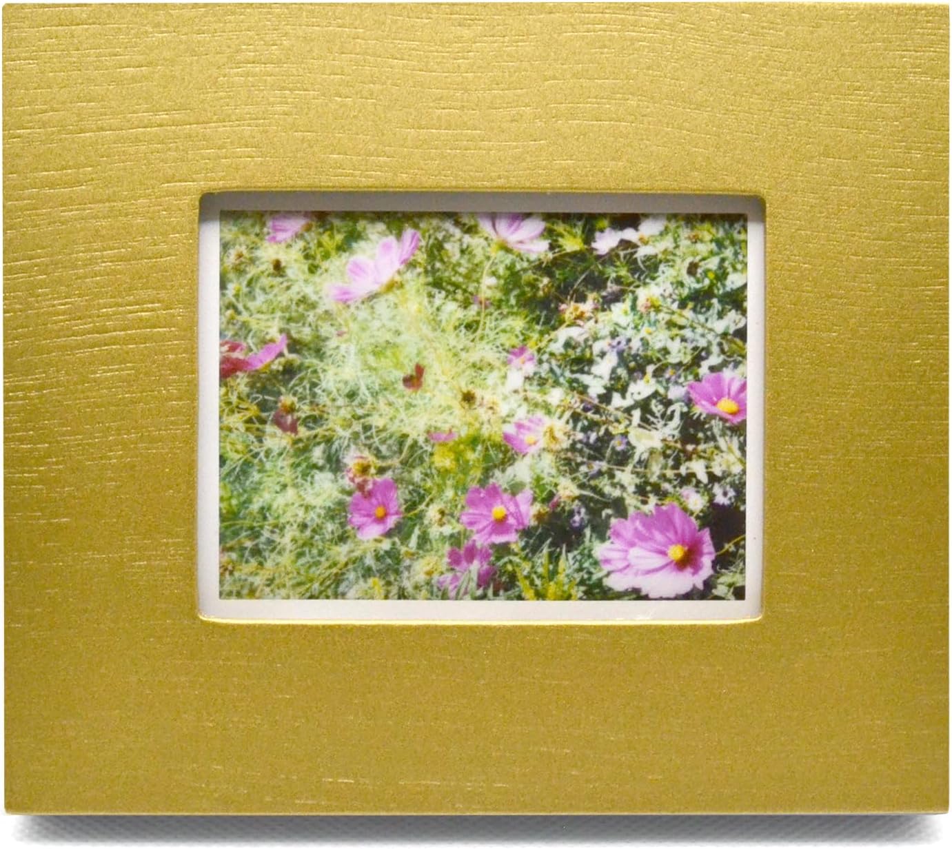 Amazon.com - Pictorial Pintails - Instax Frame for Photos, Wooden ...