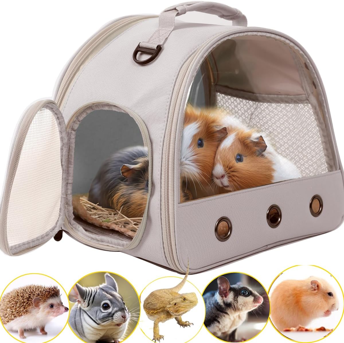 Bearded Dragon Travel Carrier, Space Capsule Clear Bubble Window Small ...