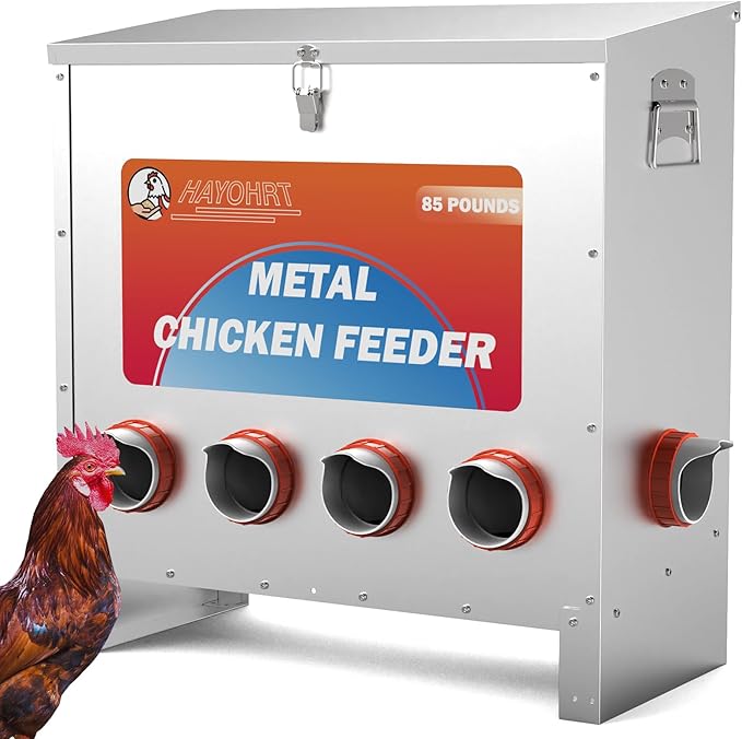Amazon.com : HAYOHRT 85 Pounds Automatic Chicken Feeder 6 Ports Large ...