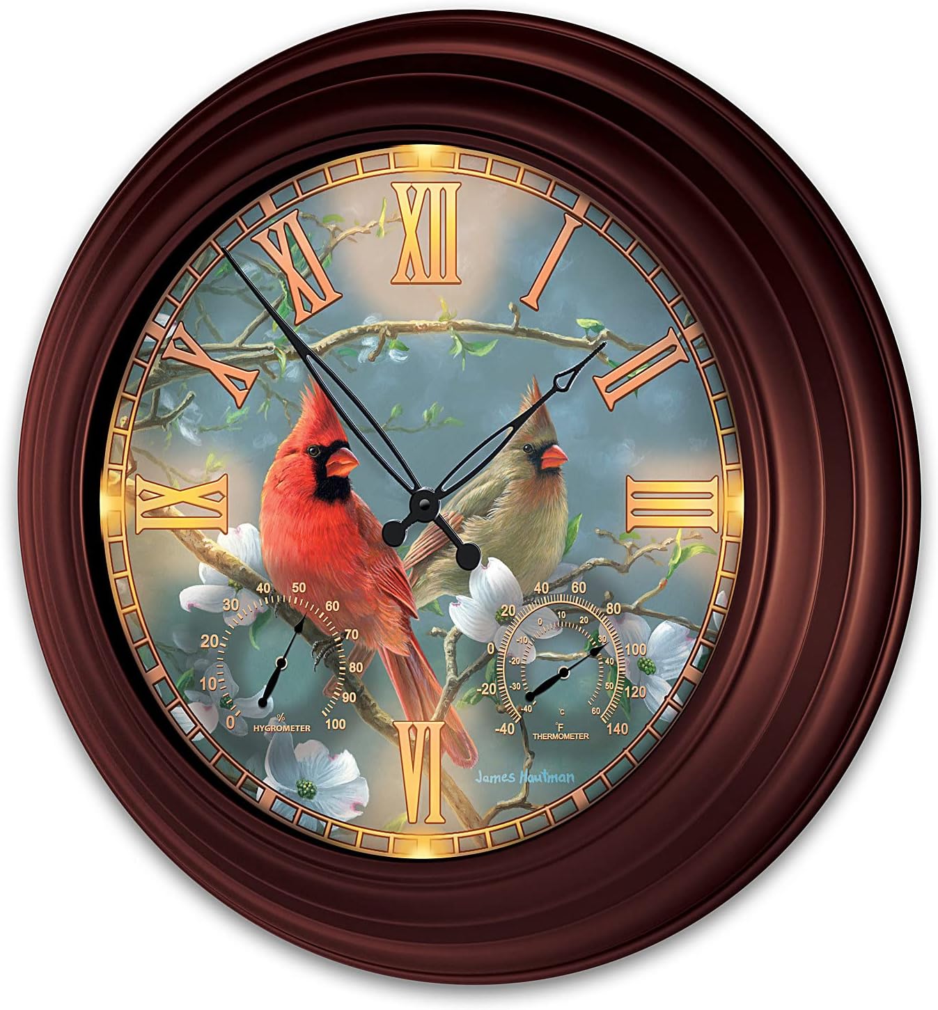 Amazon.com: The Bradford Exchange Nature's Masterpiece Cardinal-Themed ...