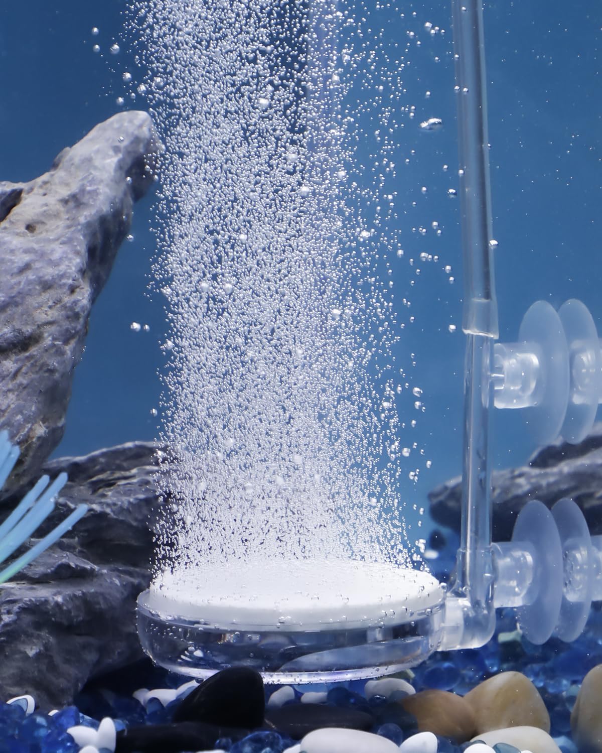 Amazon.com : Pawfly Aquarium Air Stone Disc, 2 Inch Small Fish Tank Air ...