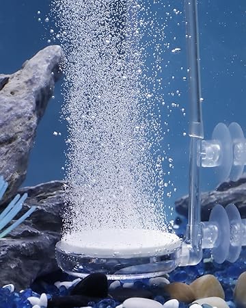 Pawly Aquarium Air Stone Disc 6 cm Microbubble Diffuser Tool Kit with ...