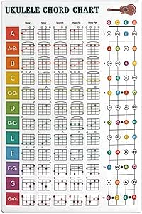 Amazon.com - Ukulele Knowledge Metal Tin Signs Ukulele Chord Chart ...