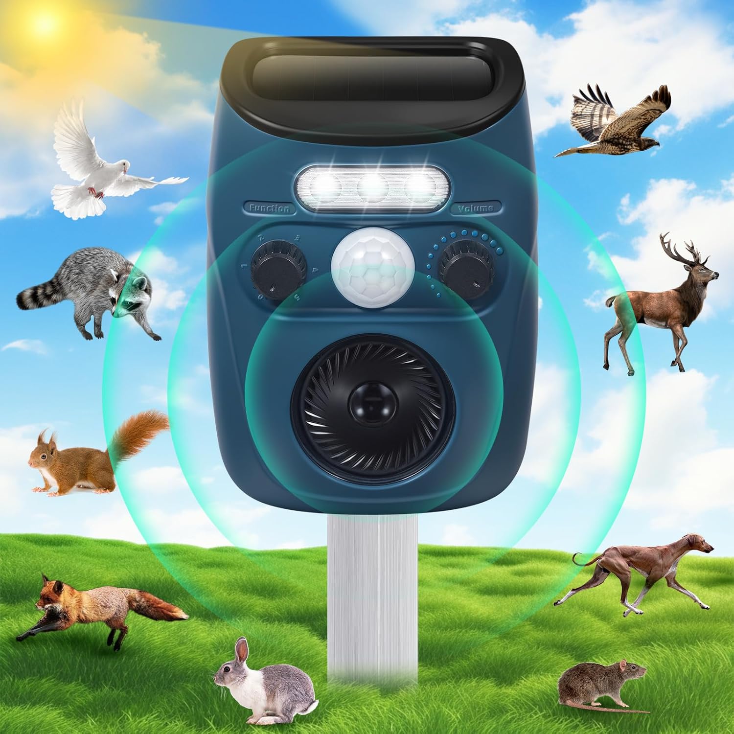 Amazon.com: Upgraded Solar Ultrasonic Bird Repeller Bird Deterrents for ...