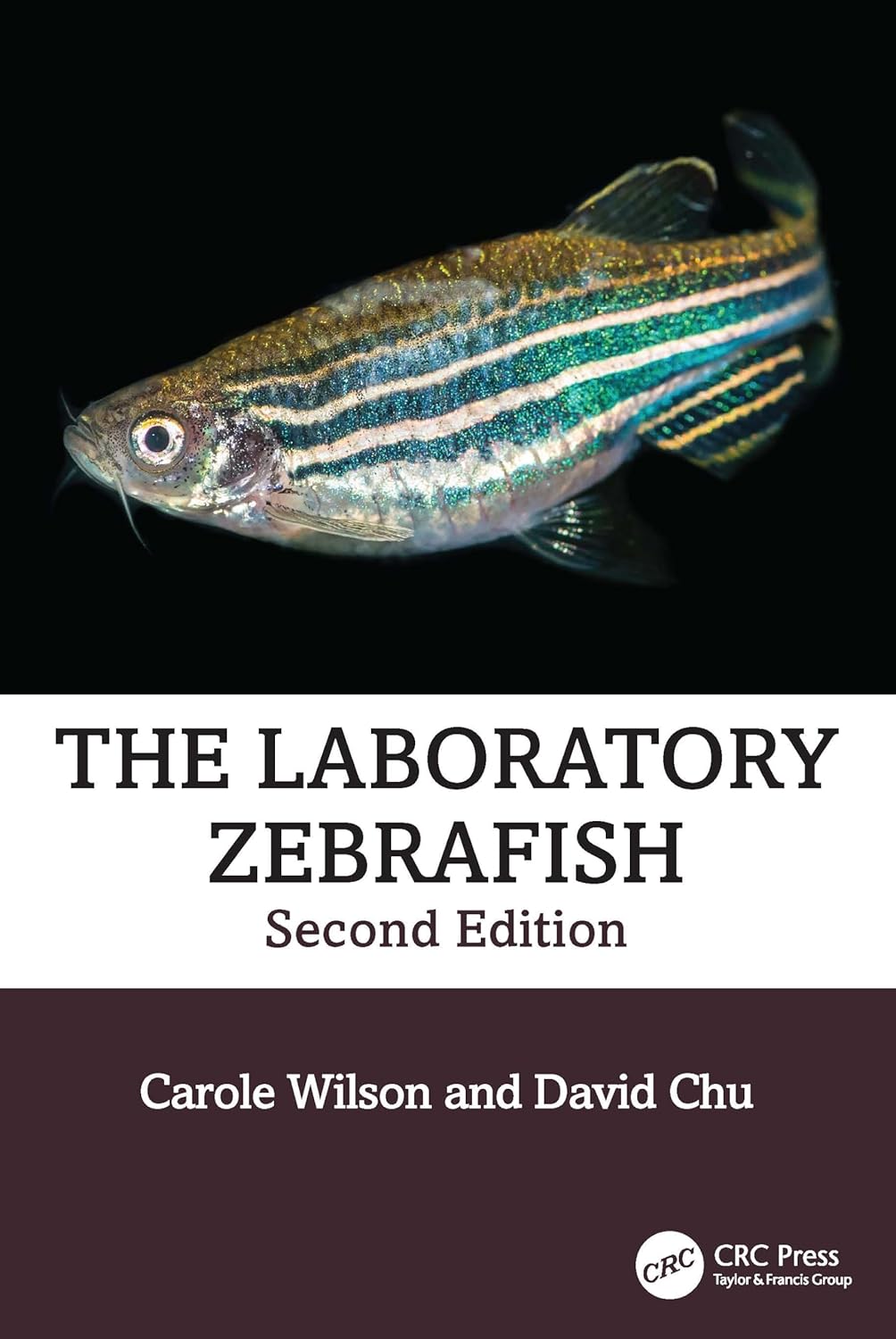 Buy The Laboratory Zebrafish (Laboratory Animal Pocket Reference) Book ...
