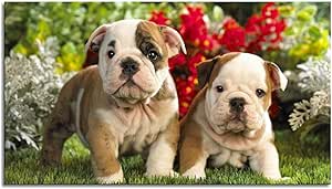 Amazon.com: BULLDOGS DOG GLOSS POSTER PRINT LAMINATED Wall Art Canvas ...