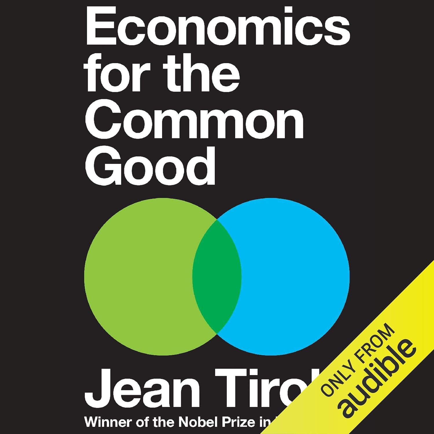 Amazon.com: Economics for the Common Good (Audible Audio Edition): Jean ...
