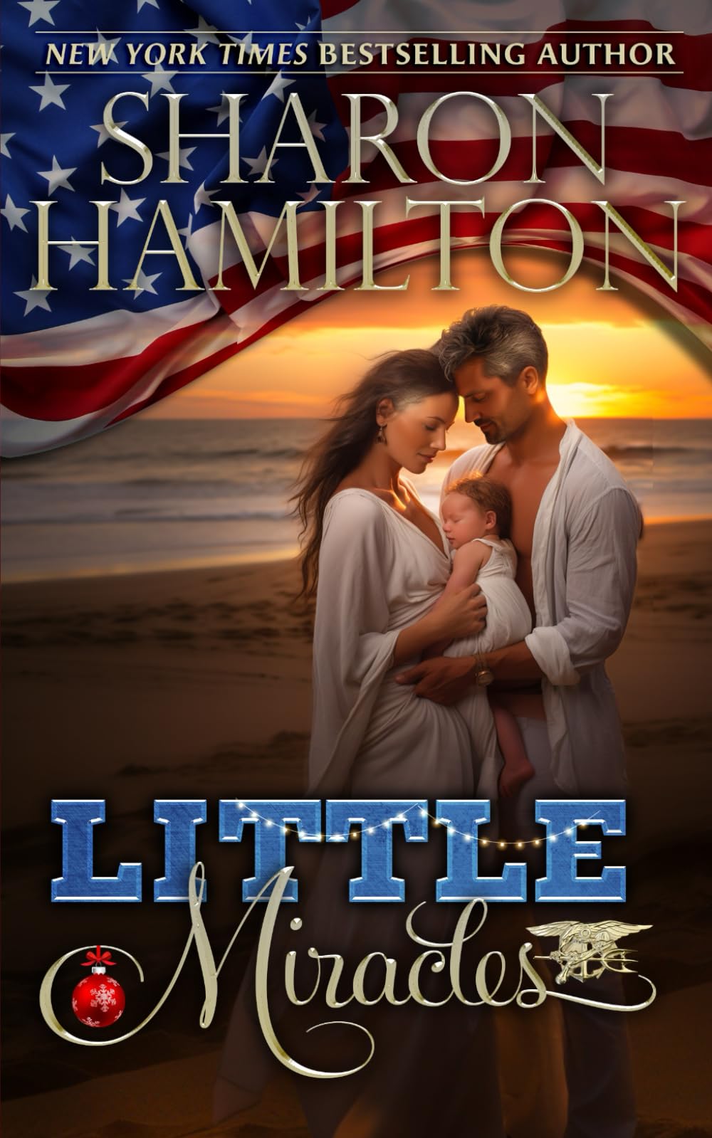 Amazon.com: Little Miracles (SEAL Brotherhood: Legacy): 9781955084574 ...