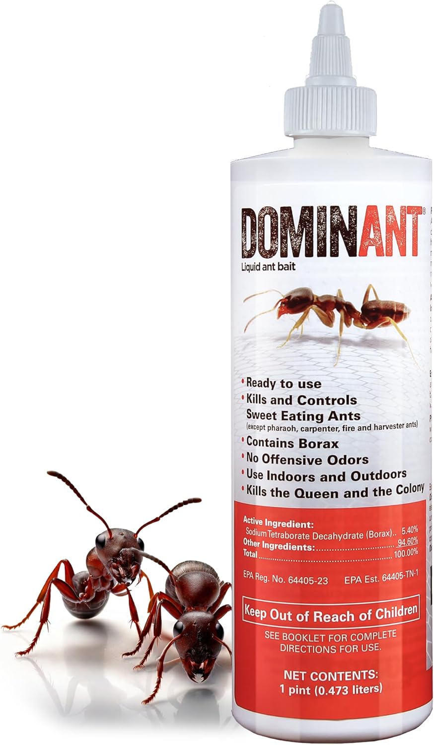 Amazon.com : Dominant Liquid Ant Bait, Borax-Based Eliminator, Super ...