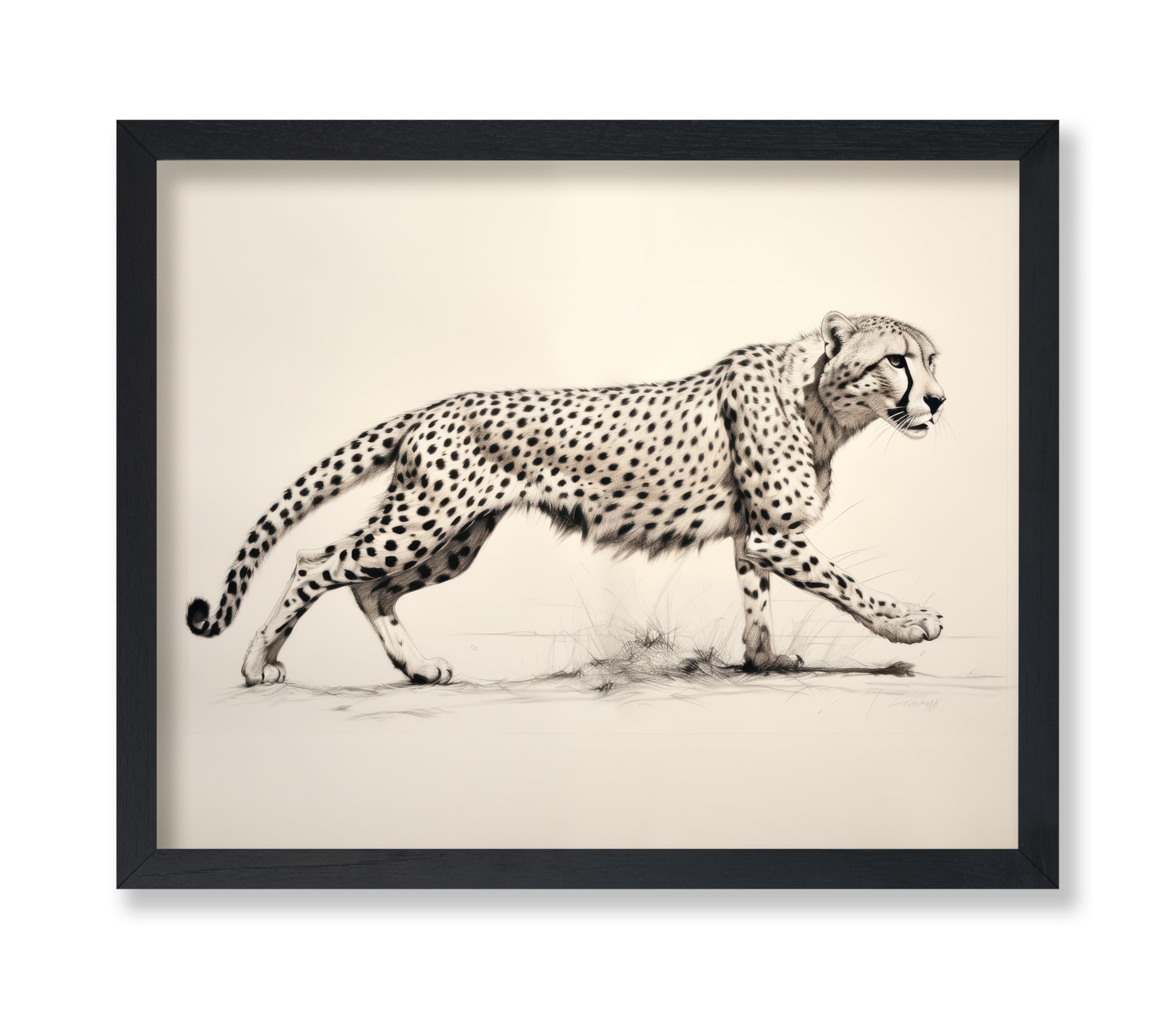 Cheetah Print Design Drawing