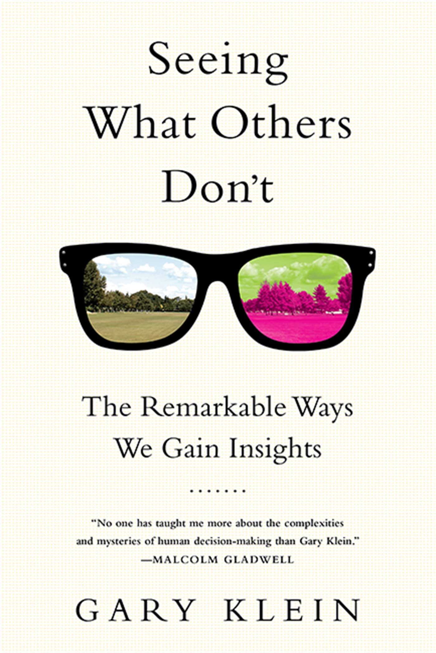 Seeing What Others Don't: Klein, Gary: 9781610393829: Amazon.com: Books