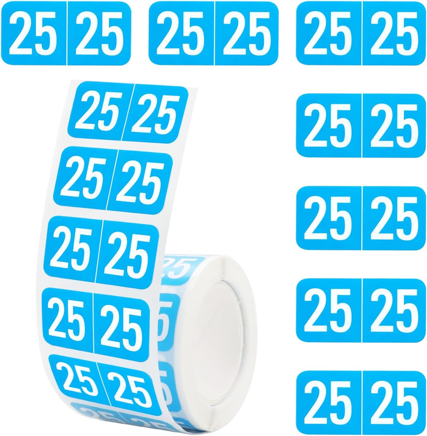 Amazon.com : 500pcs 2025 Year Stickers, Self-Adhesive File Folder ...