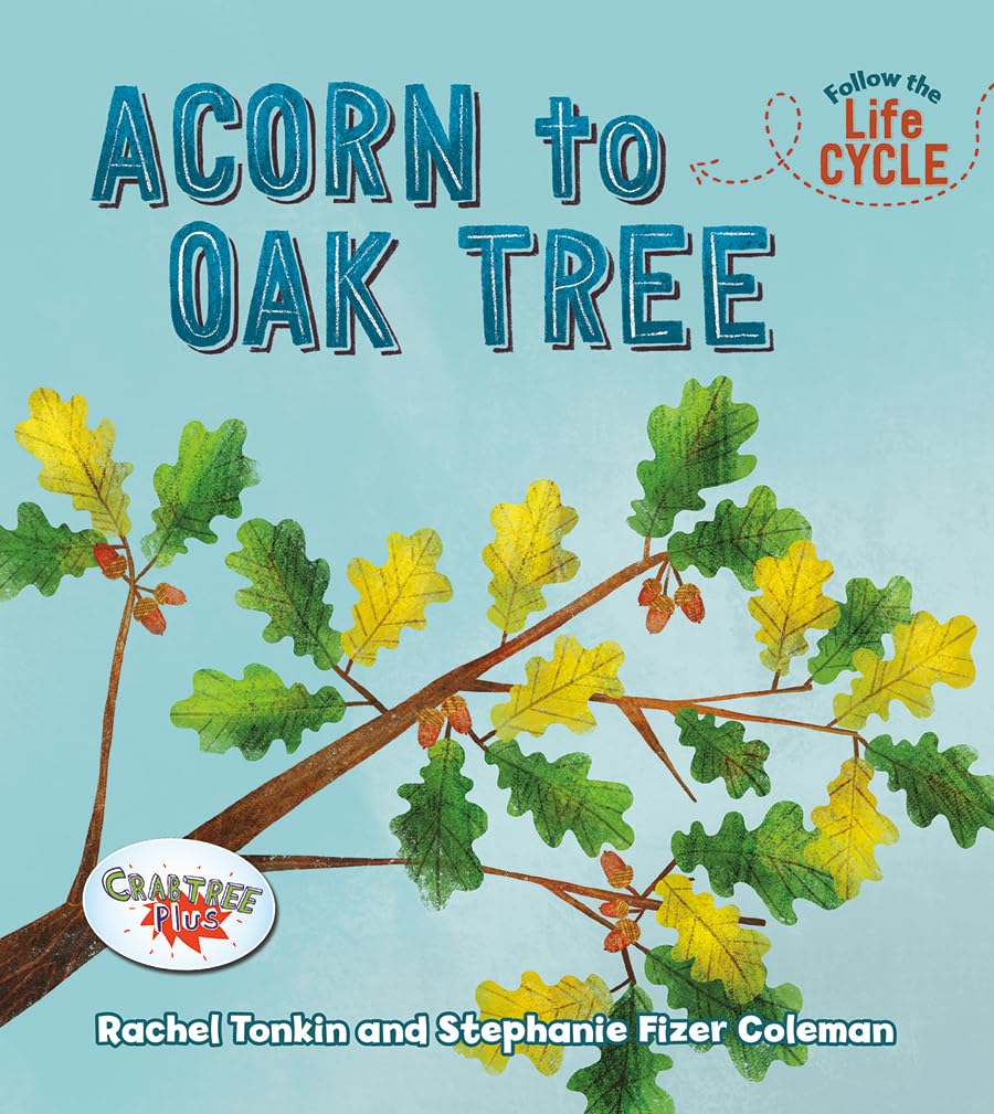 Acorn to Oak Tree (Follow the Life Cycle): Tonkin, Rachel, Coleman ...