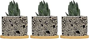 Amazon.com: BRUYU5SE Leopard Black and Light Brown Dot Ceramic Planters ...