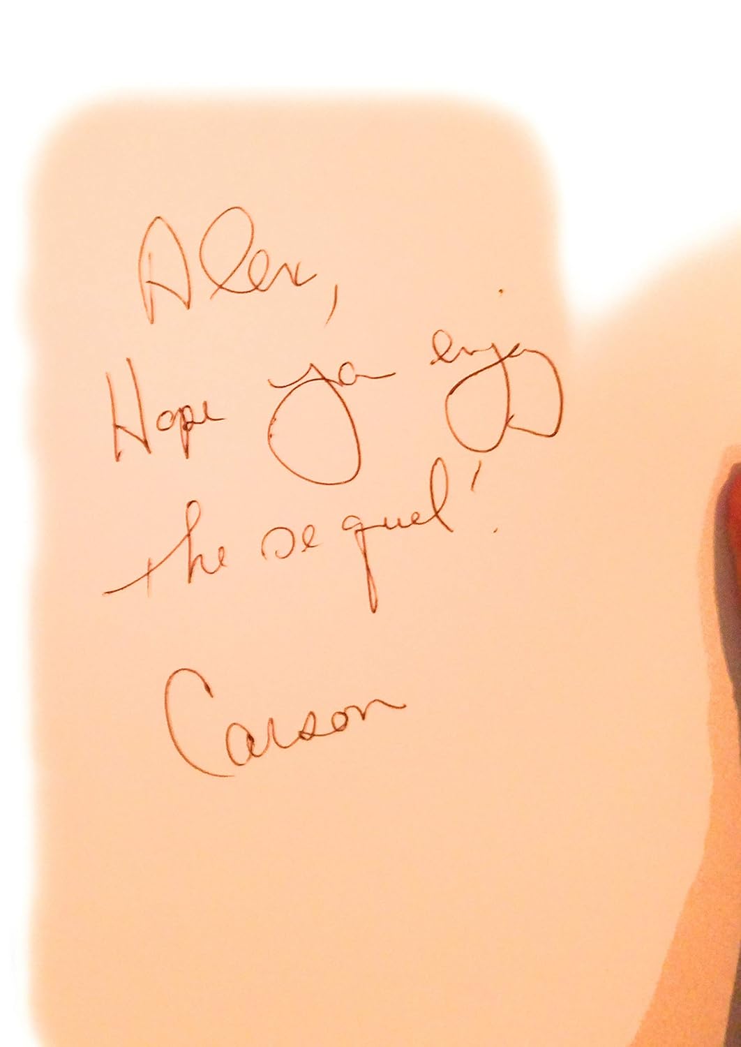 The Return: Bryan, Carson W.: 9781615794645: Amazon.com: Books