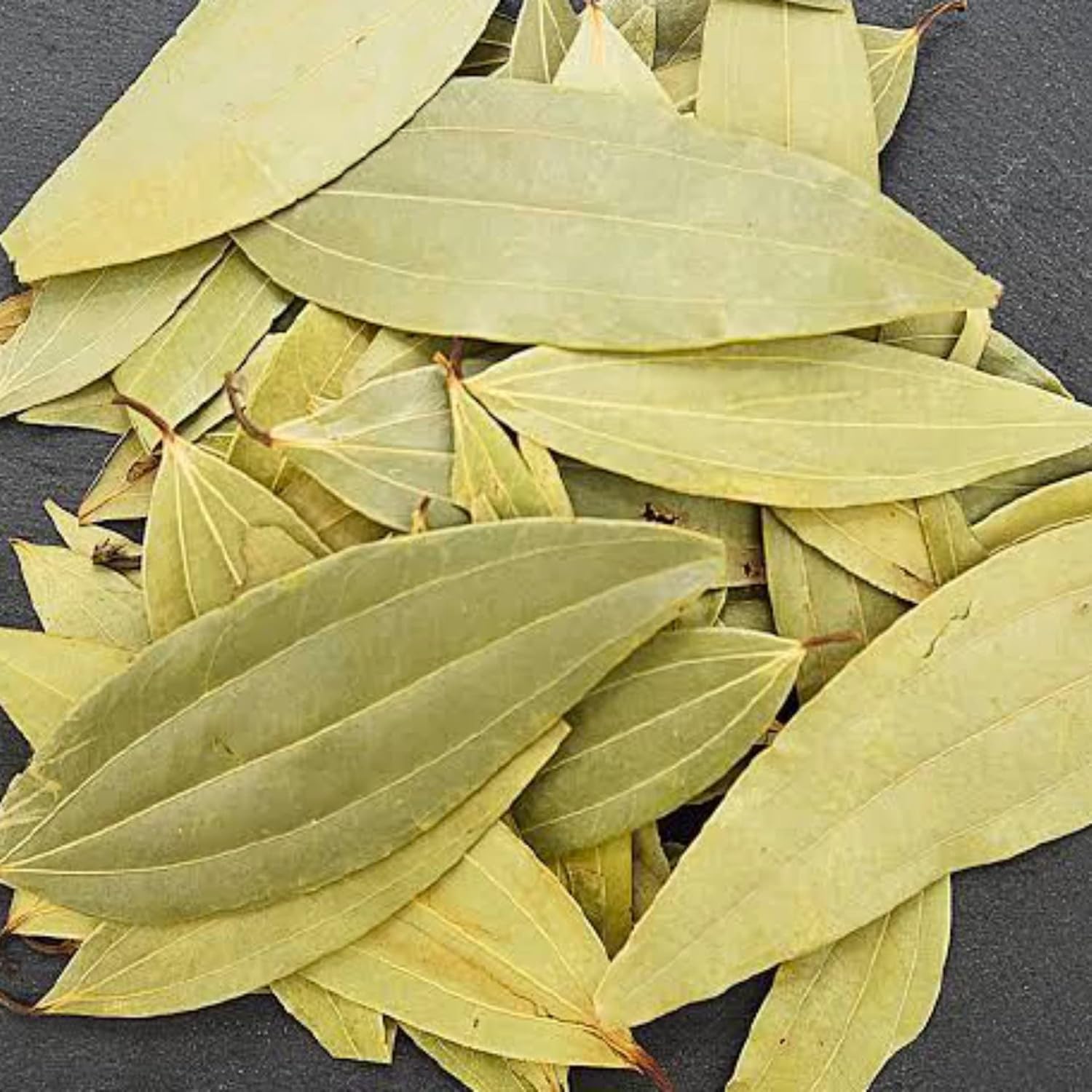 Tej Patta Species Flower Plant For Home & All Season Plant : Amazon.in ...