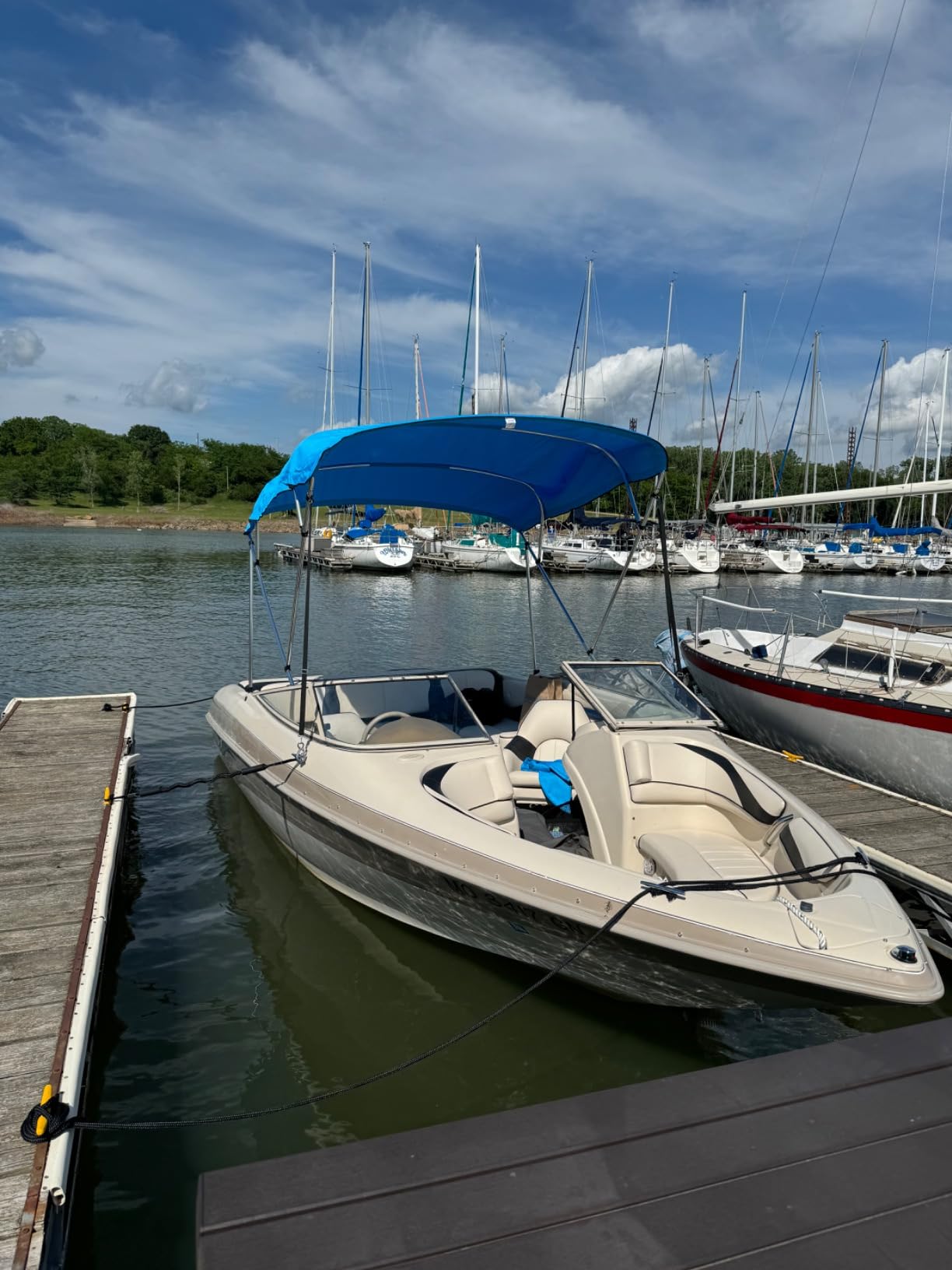 Amazon.com : HSOKEW 4 Bow Bimini Top Boat Cover, 800D Canvas Boat ...