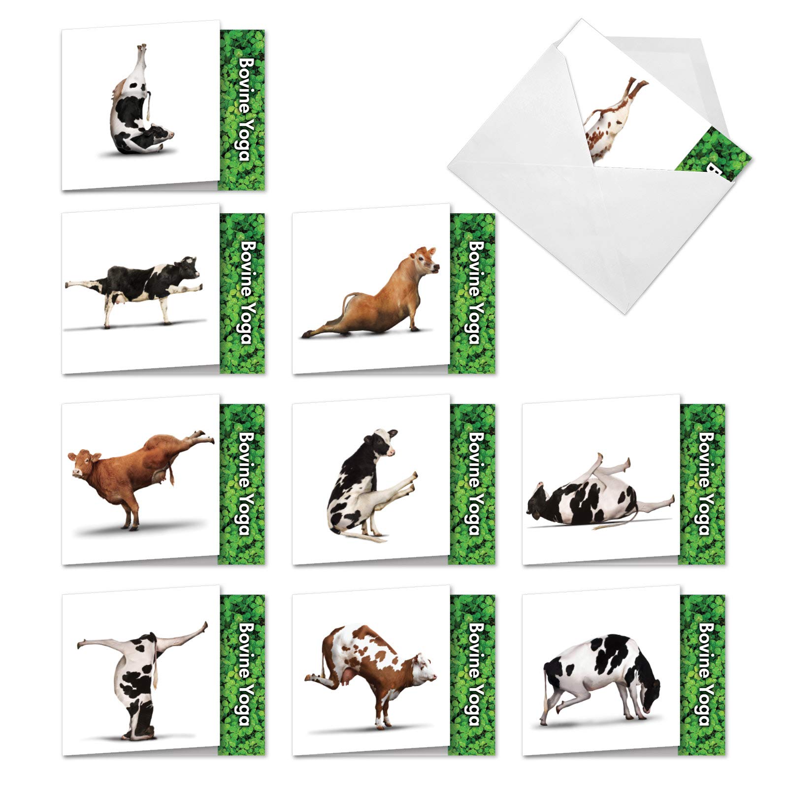 Amazon.com : The Best Card Company - 10 Blank Yoga Note Cards (4x 5.12 ...