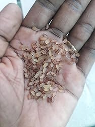 SRK RED RICE/KAJE/BROWN RICE/KERALA MATTA/Mangalorean Parboiled RICE ...