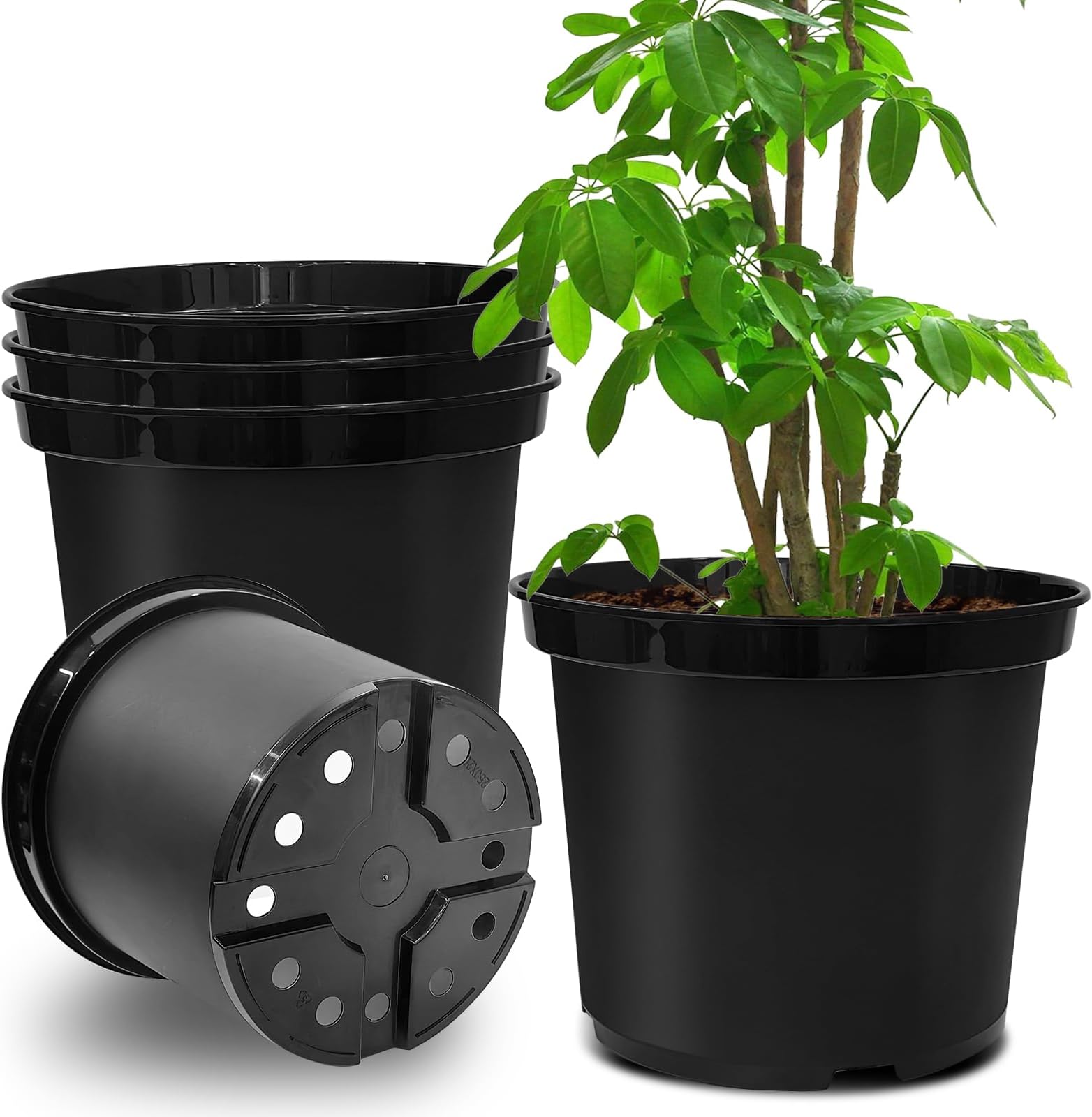 Amazon.com: labworkauto Nursery Pot 1 Gallon 1 Gal 2 Gal 3 Gal 5 Gal 7 ...