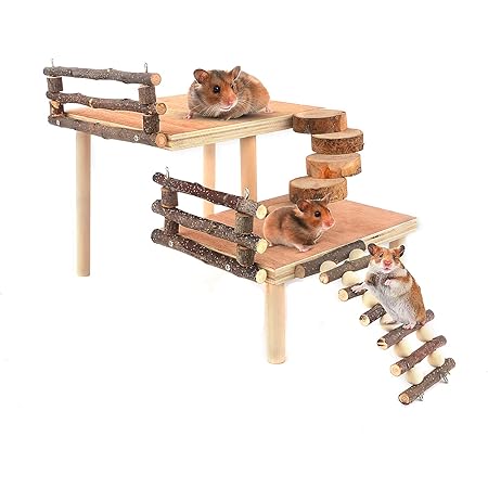 Amazon.com : Wepets Rat Enrichment Foraging Toys for Small Animals ...